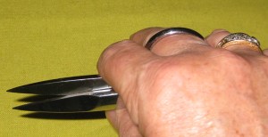 buttonhole chisel | Alison Wheeler - The Sewing Lady